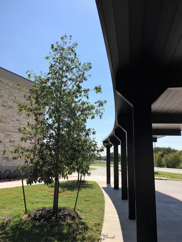 Metal Sunshades & Canopies for Schools | Canopy Solutions